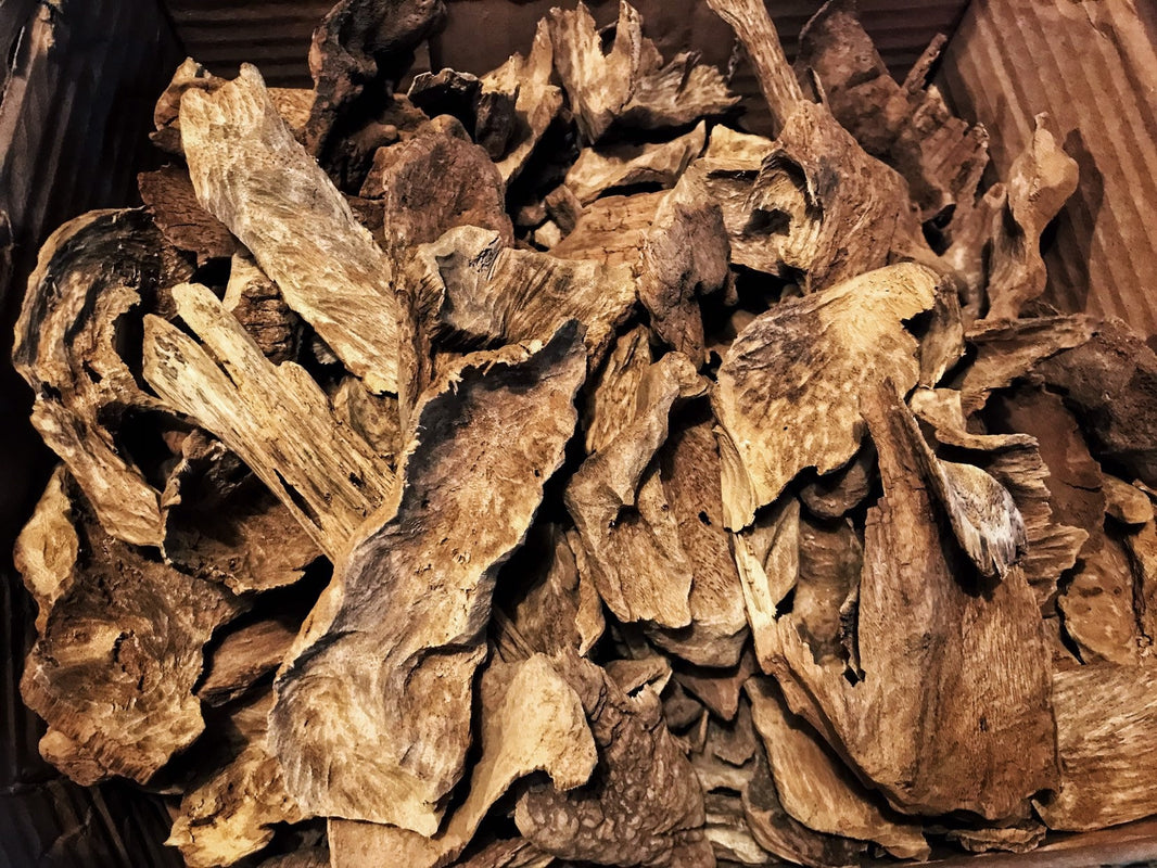 Agarwood – RisingPhoenixPerfumery.com